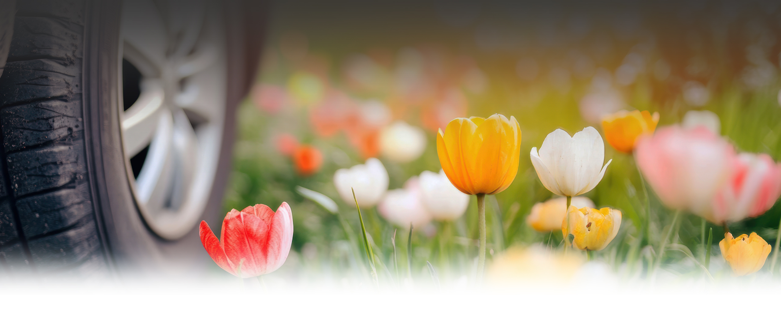 Employee Resources Credit Union